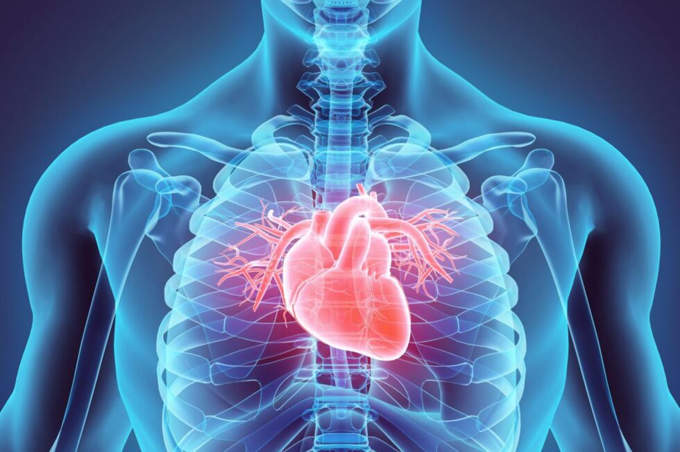 Cardiology - Tirsa Healthcare